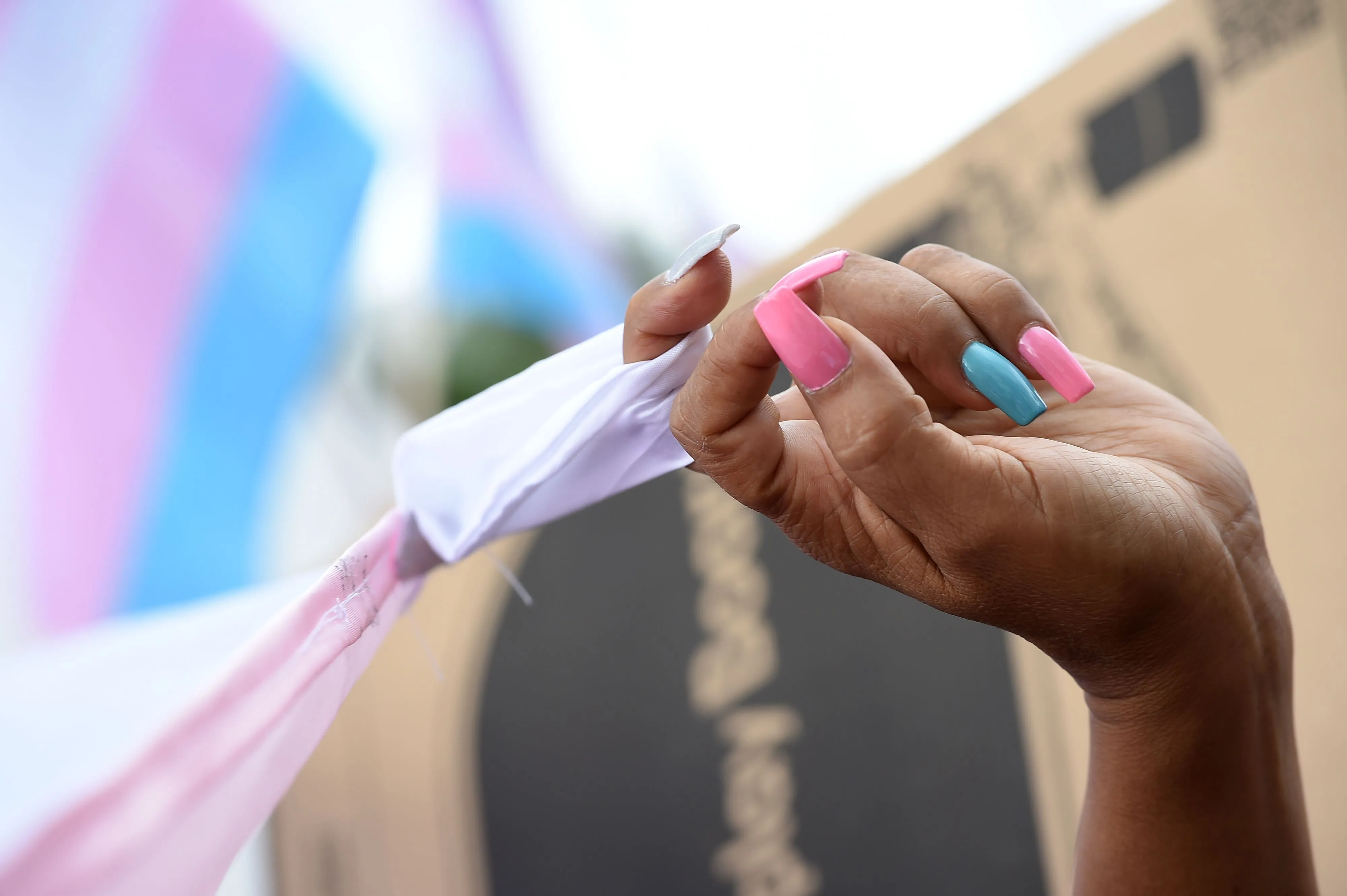 California adopts self-ID gender recognition law | PinkNews