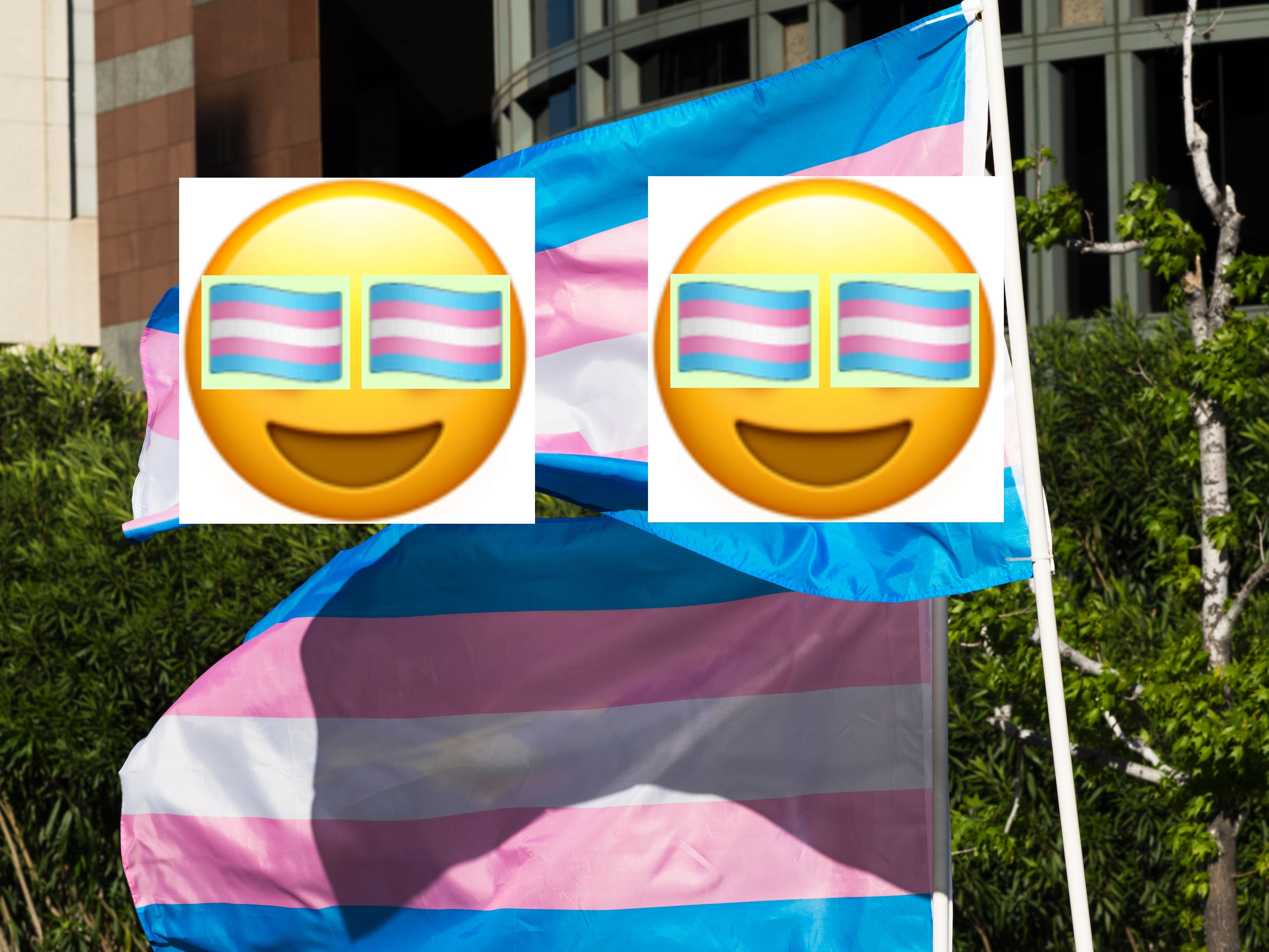 A transgender Pride flag emoji exists—here's how to get it | PinkNews ...