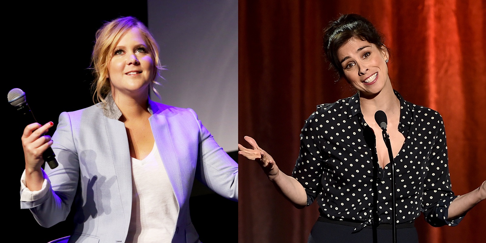 Amy Schumer, Chelsea Handler, Sarah Silverman 'faggot' tweets resurface ...
