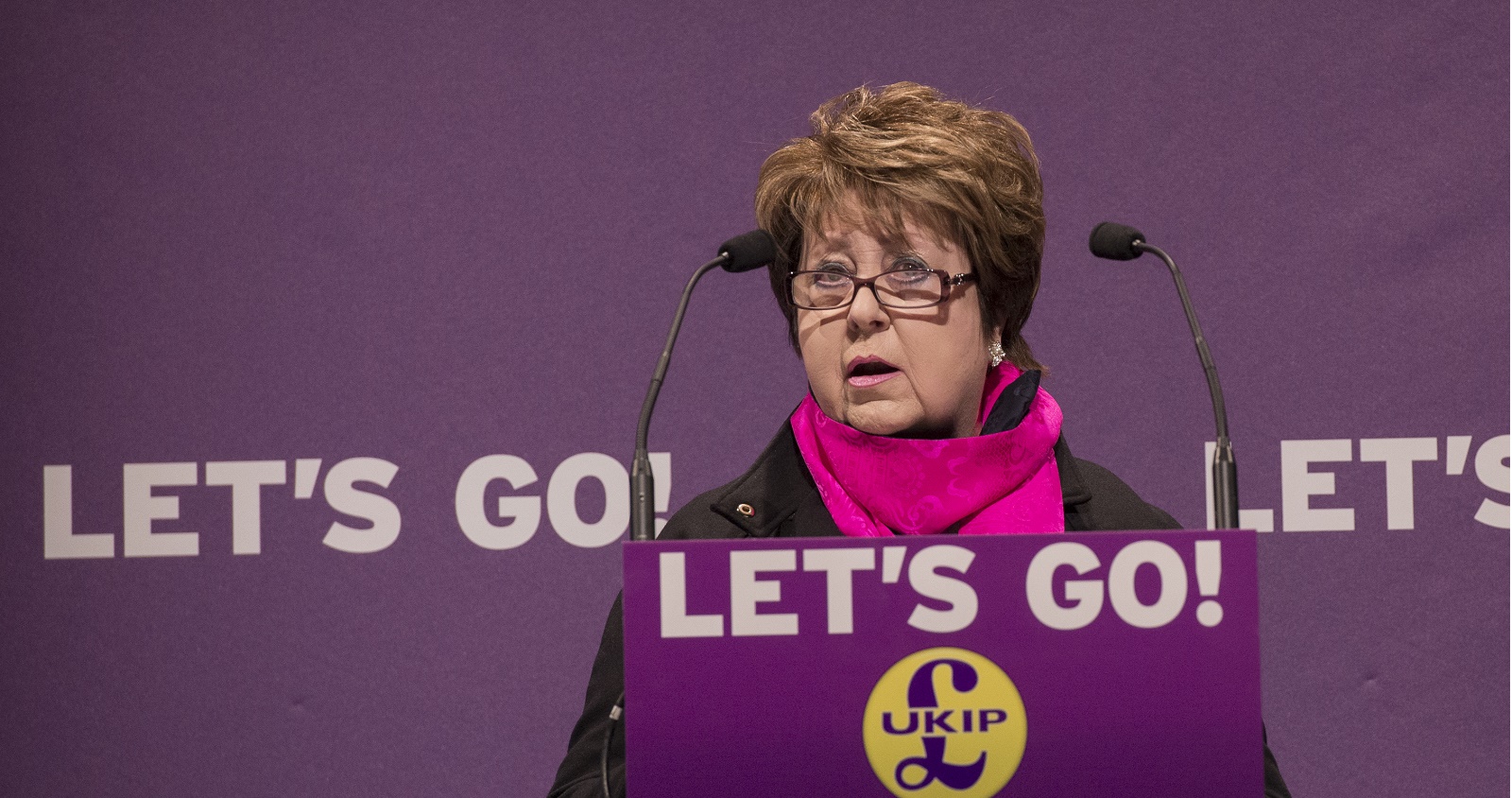 UKIP appoints equalities spokesman to attack 'politically correct ...