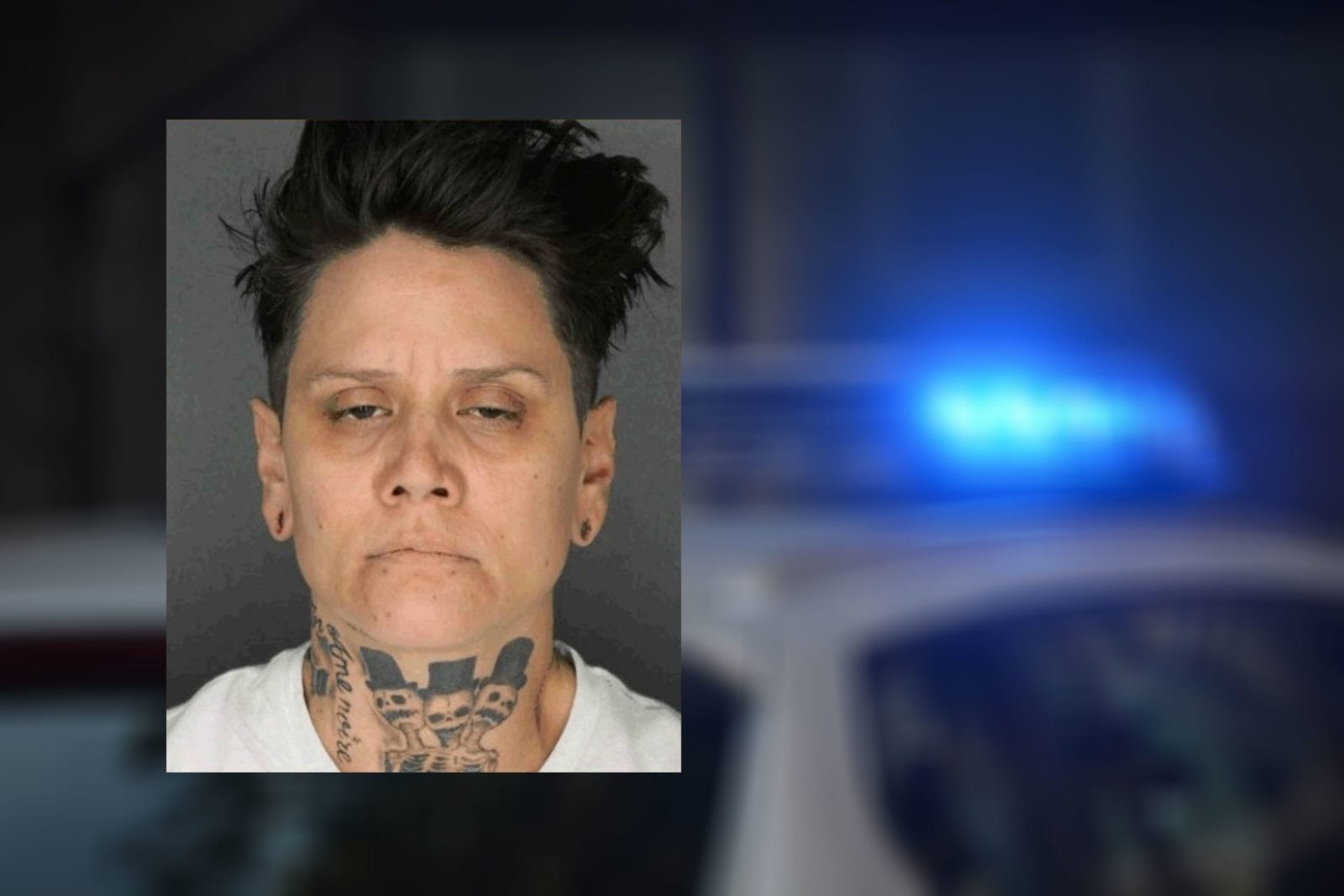 Woman arrested over 'terroristic threats' to murder people at Pride ...