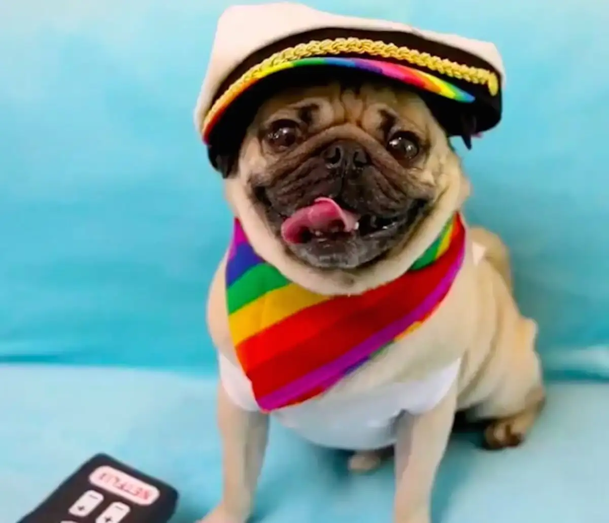 Queer Eye's Jonathan posts hilarious Doug the Pug video to celebrate ...