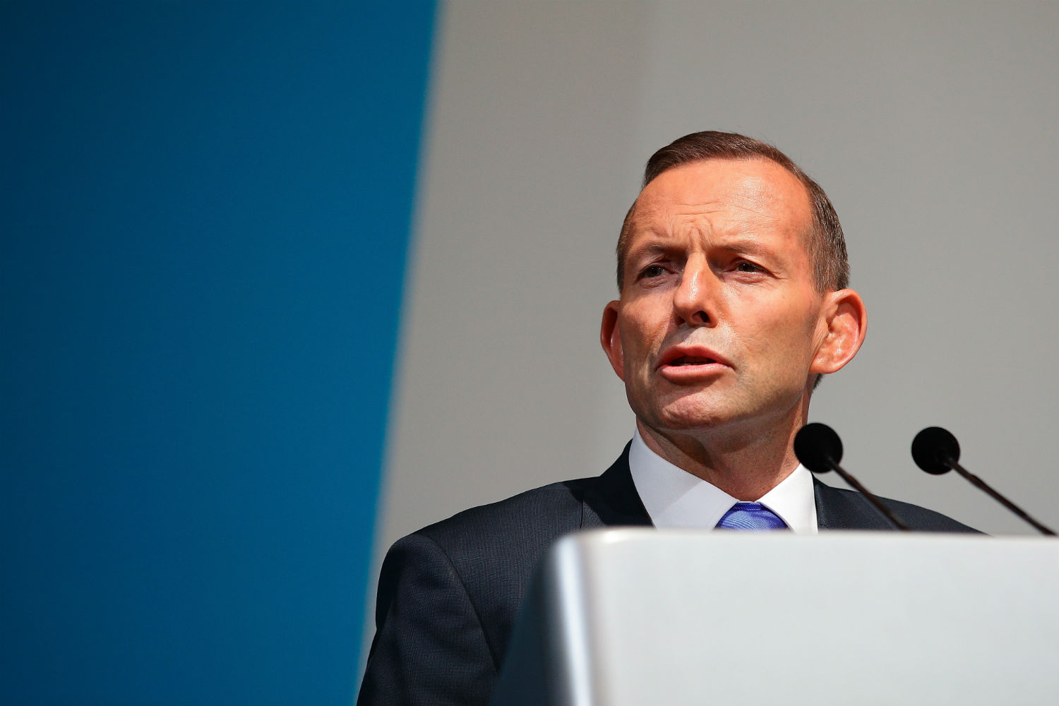 Australian PM Tony Abbott plotting to delay same-sex marriage with ...