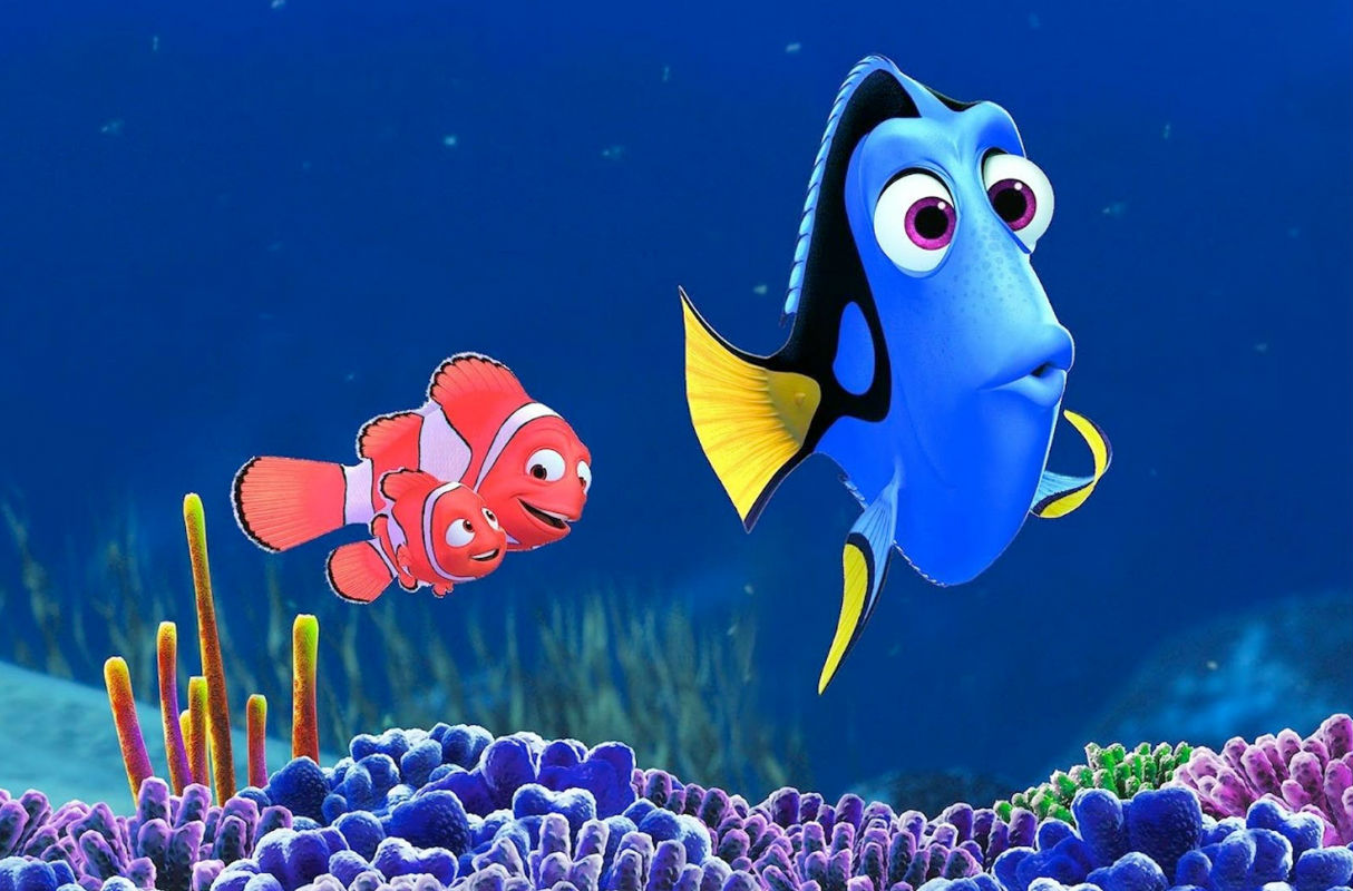 Check out these brand new characters from Pixar's Finding Dory! | PinkNews