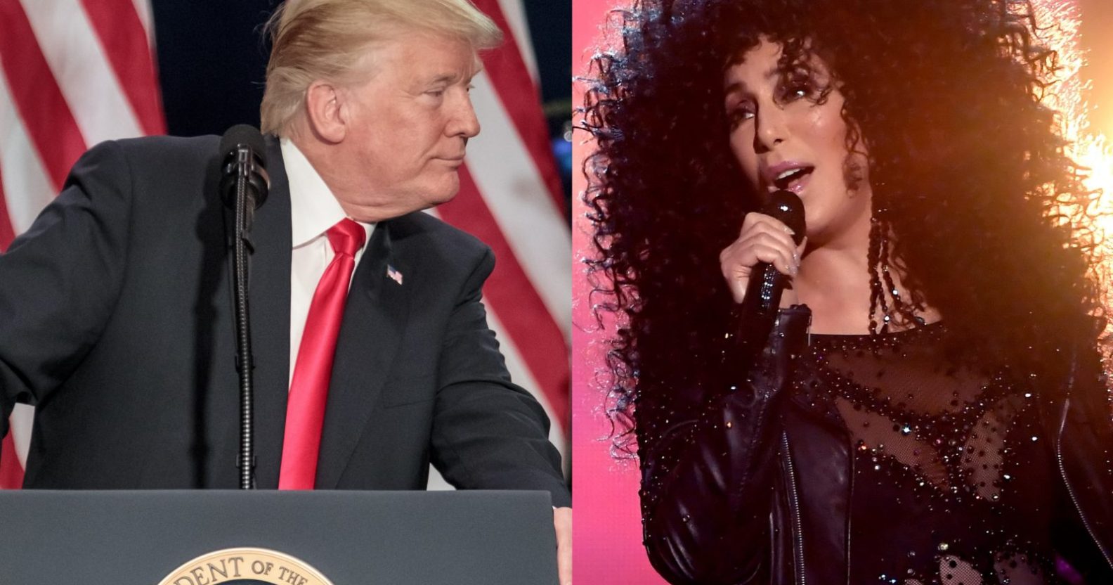 Cher has brutally torn apart 'demented racist' Donald Trump - and it's ...