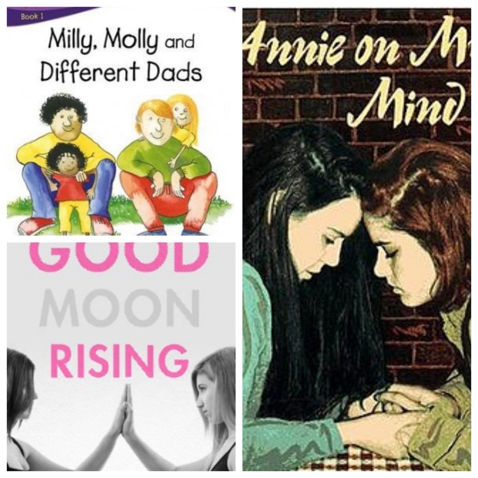 Reform UK-run council pulls all trans books from children's section