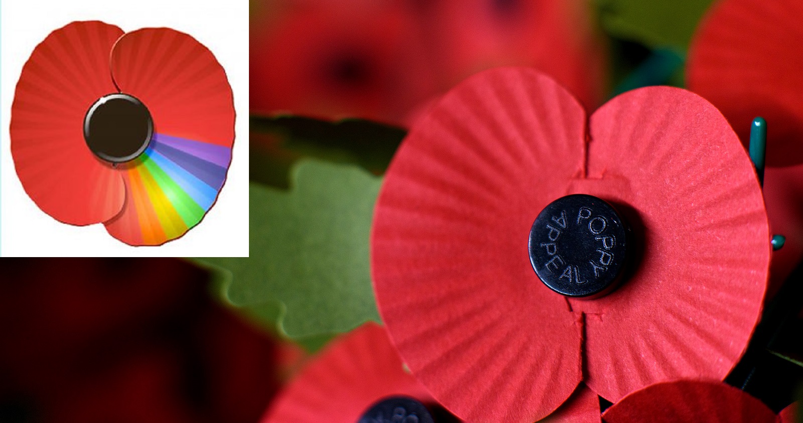 LGBT rainbow poppy met with anger on Remembrance Day | PinkNews