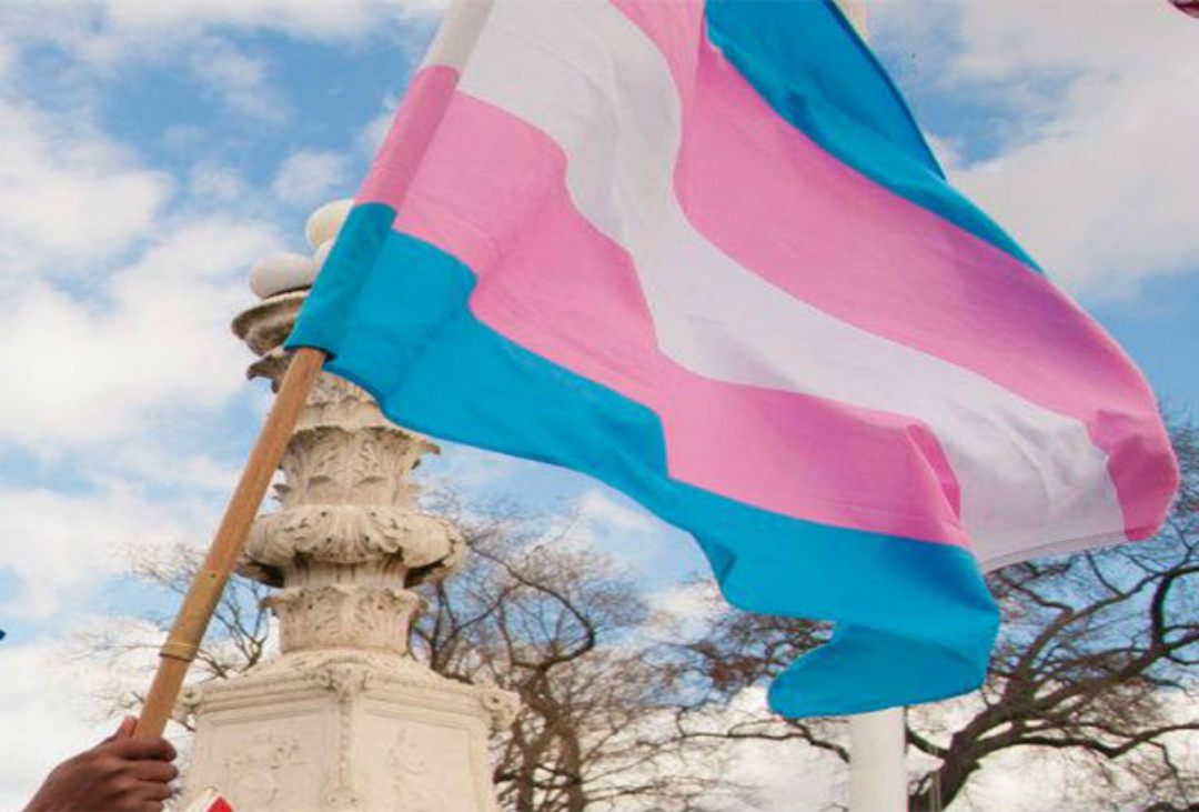 What is trans and what does non-binary mean?