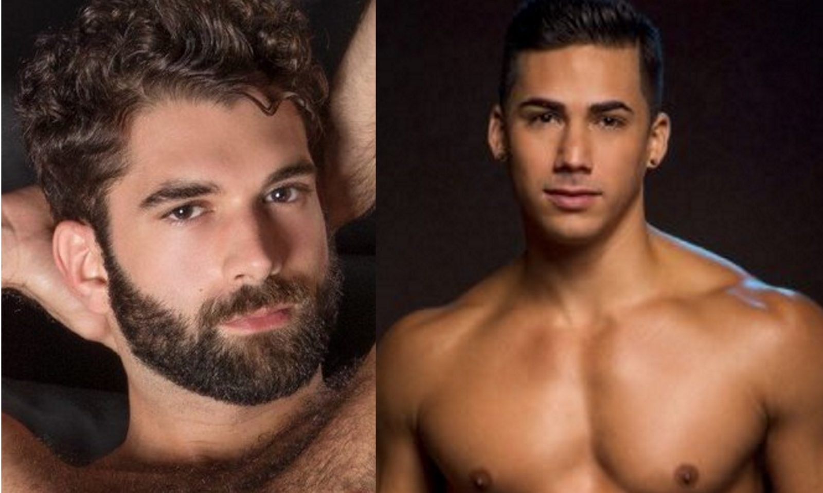 Gay adult film star Tegan Zayne has accused co-star Topher DiMaggio of ...