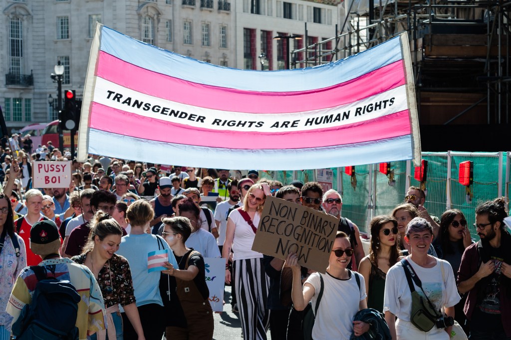 Trans rights one year on since declassification as a mental disorder