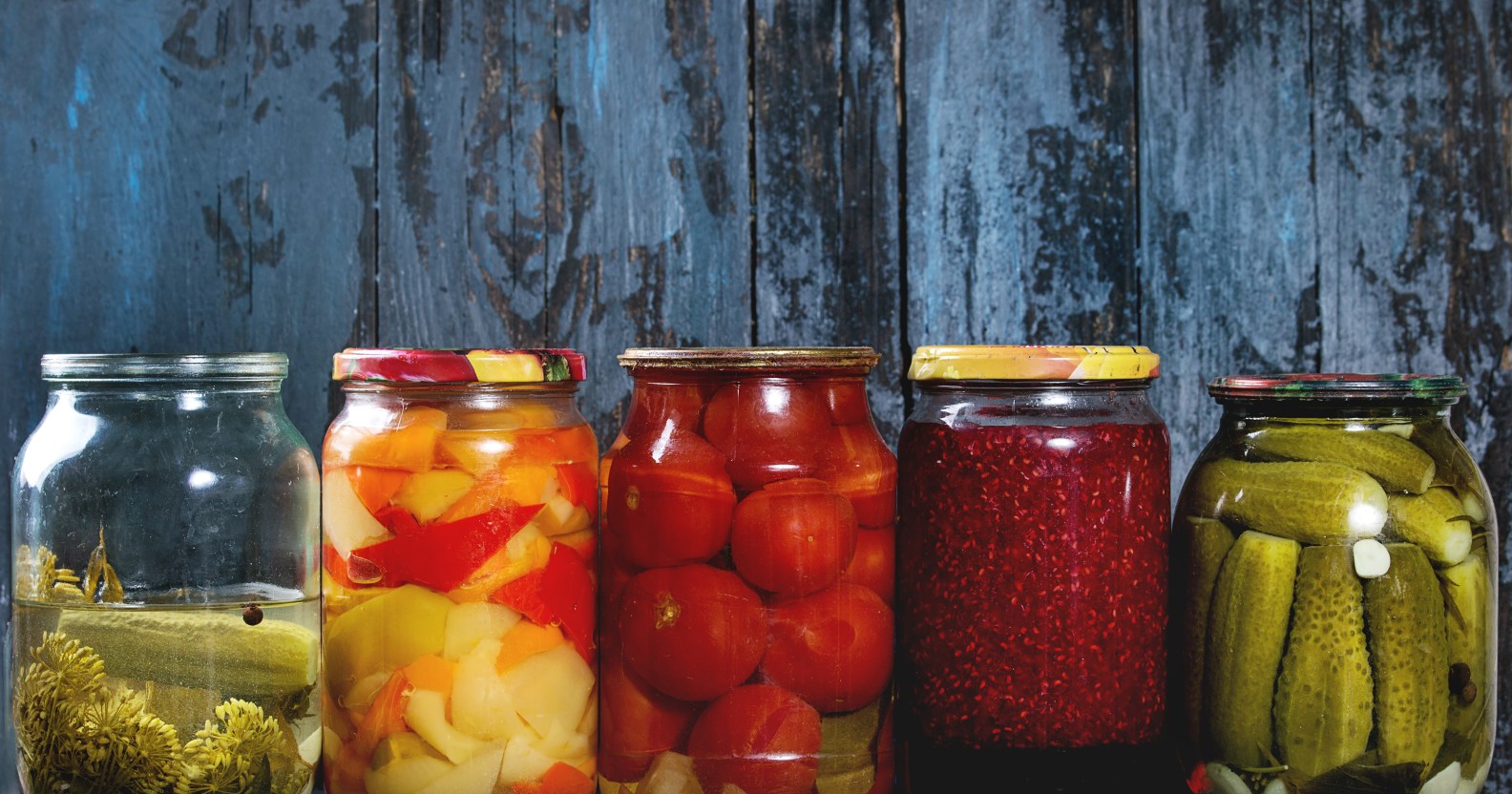 This is why the pickle became a symbol of trans rights