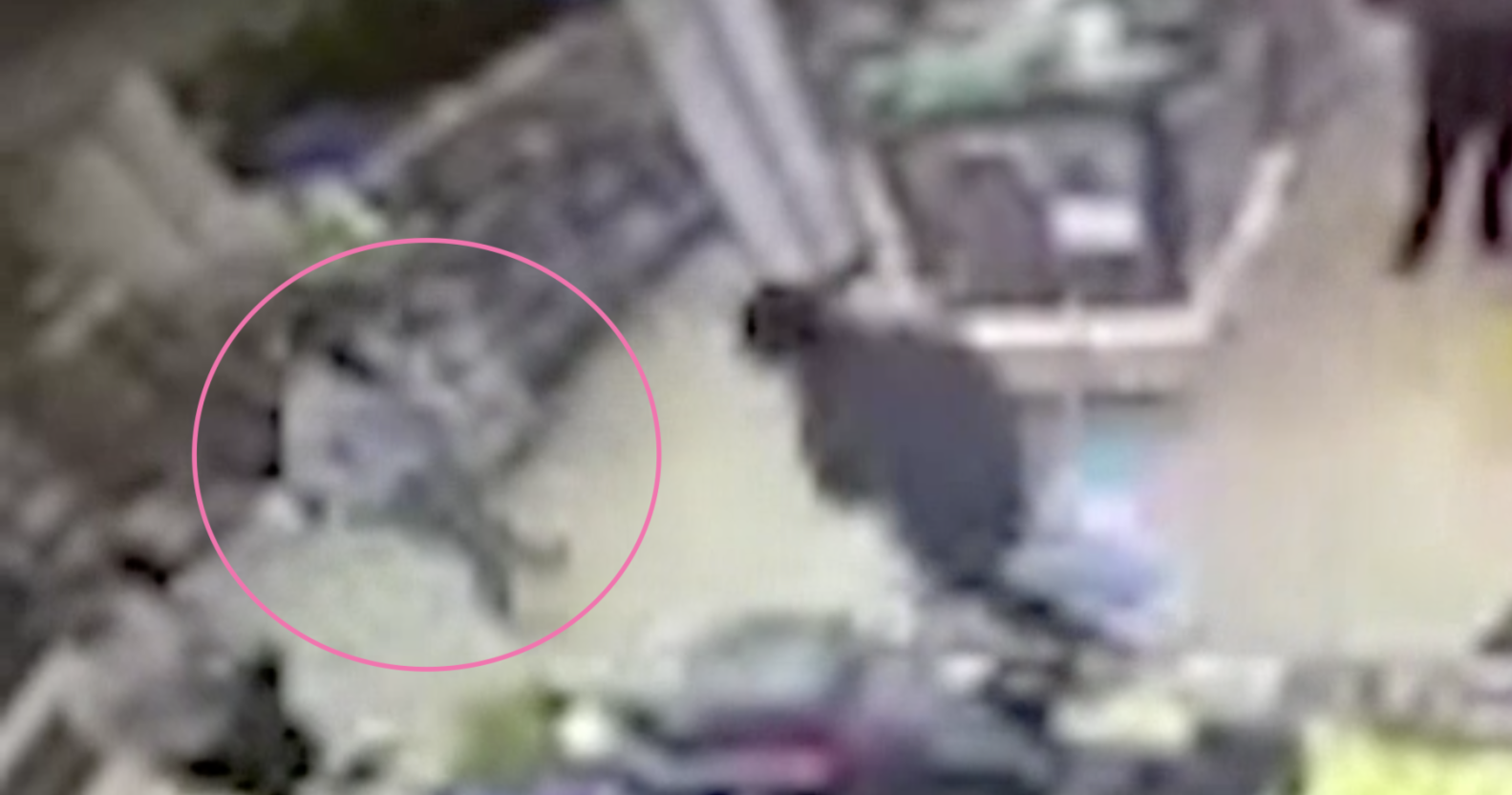 Trans man brutally beaten and left with broken jaw in 7-Eleven attack