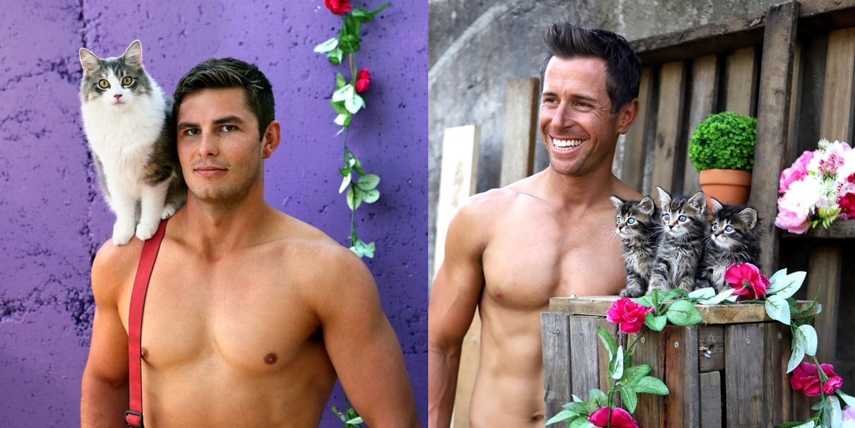 Firefighters pose with rescue cats for a steamy/adorable charity calendar