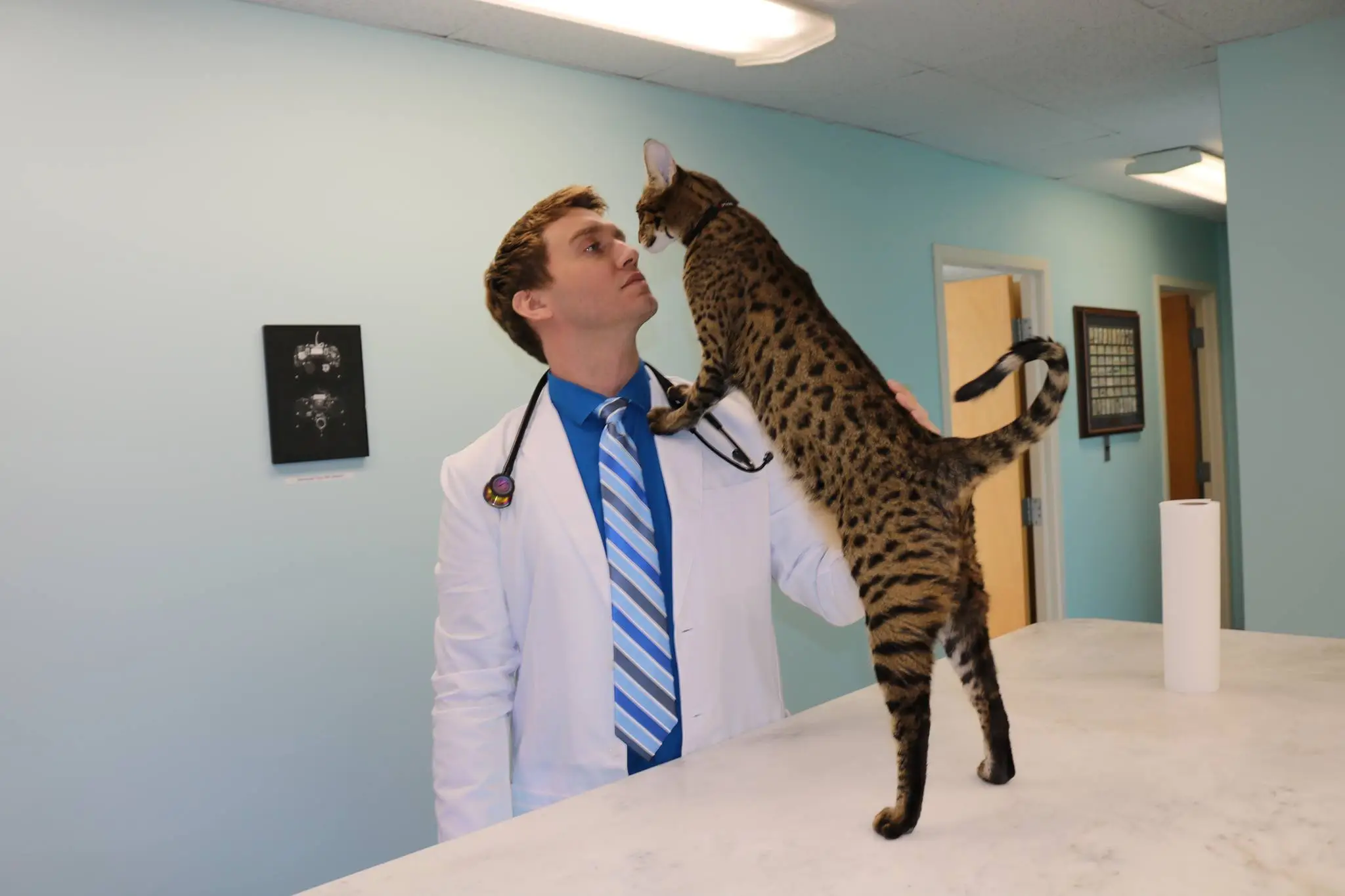 William Powers: Doctor for trans people gives himself gender dysphoria