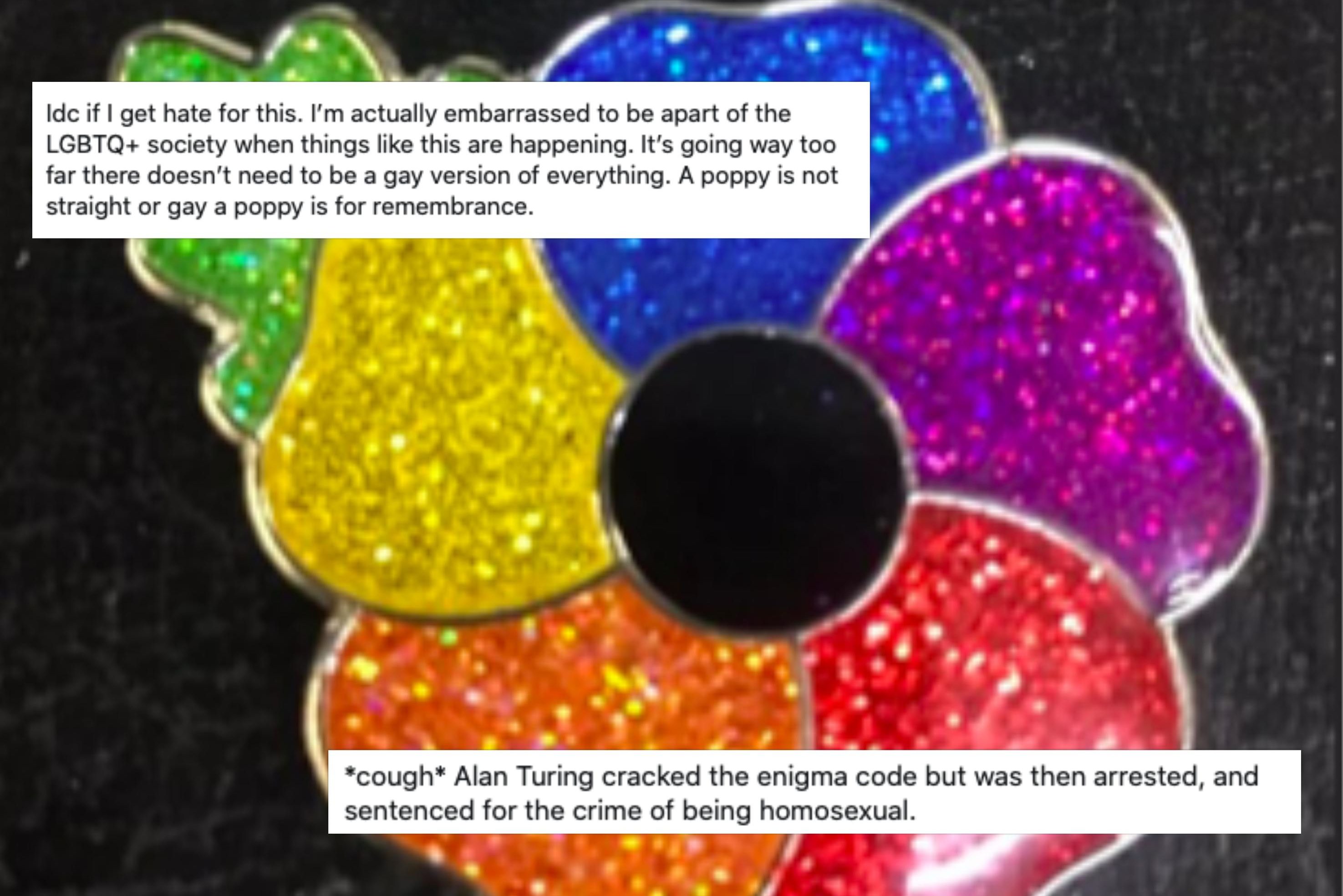 This guy just made a perfect point about the whole ‘rainbow poppy debate’