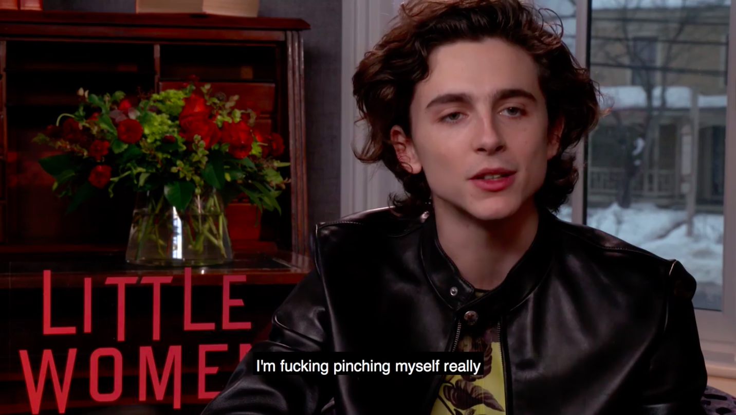Timothée Chalamet on being Hollywood's 'Straight Prince of Twinks'