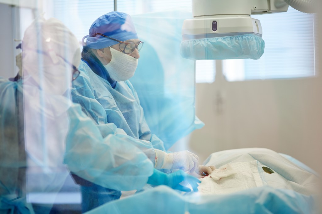 Pioneering testicle transplant raises hopes of future surgery for trans men