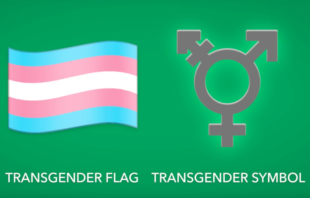 Transgender Symbol Flag