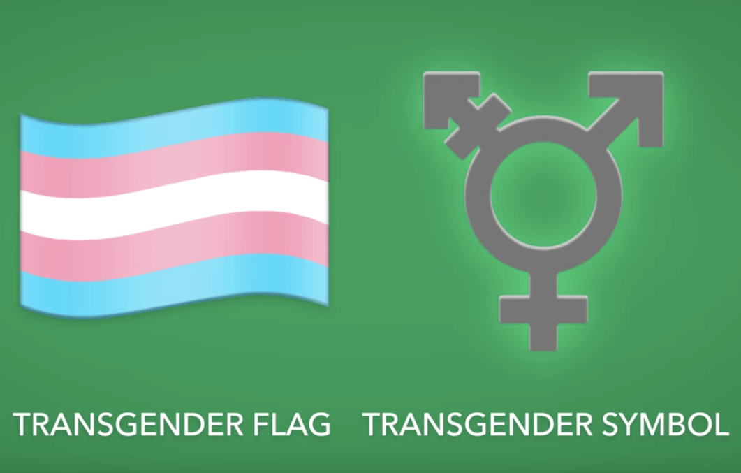The long-awaited trans Pride flag emoji is finally coming to phones in ...
