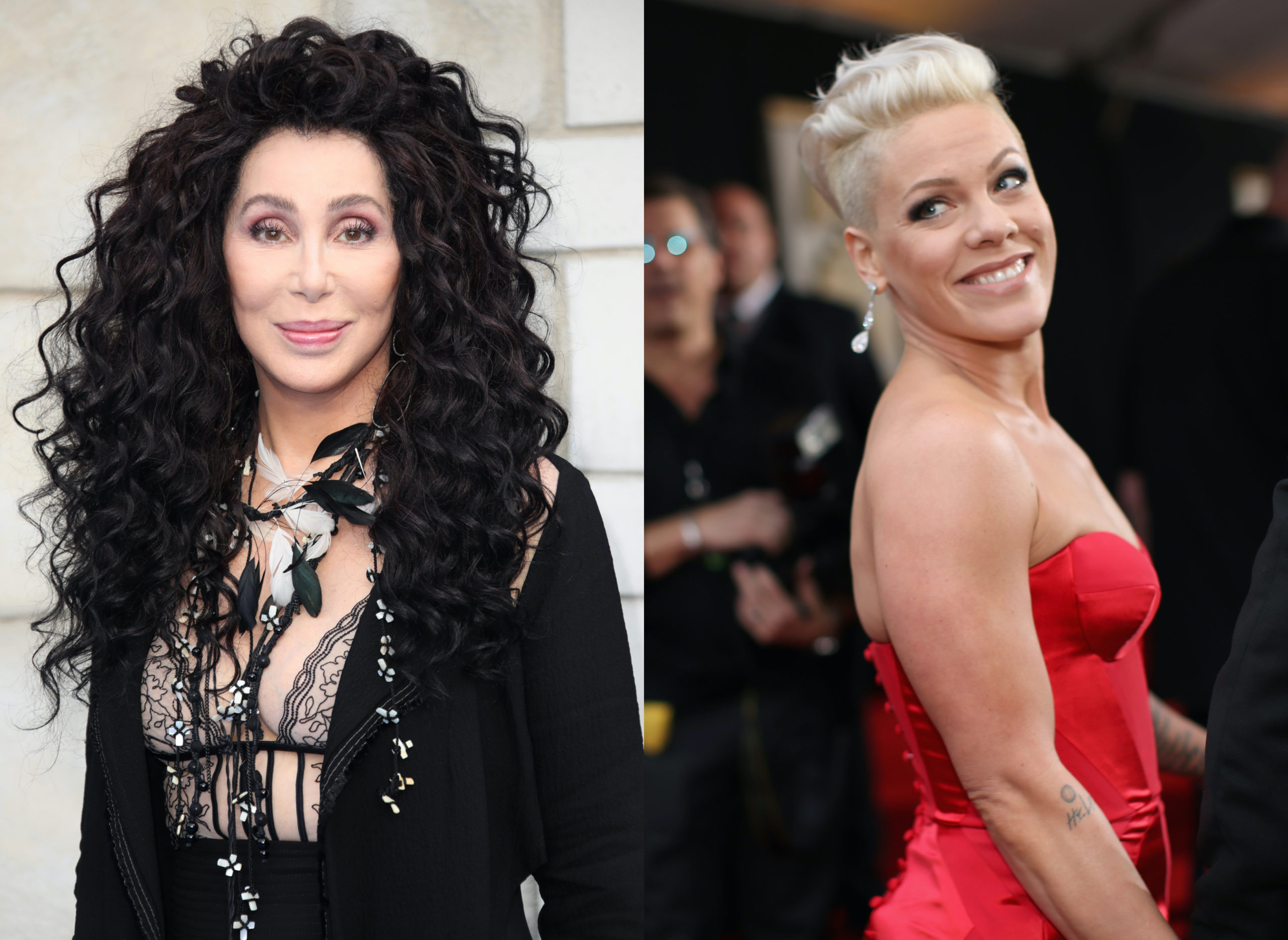 Cher wants Pink to rewrite one of her songs as a protest against Trump