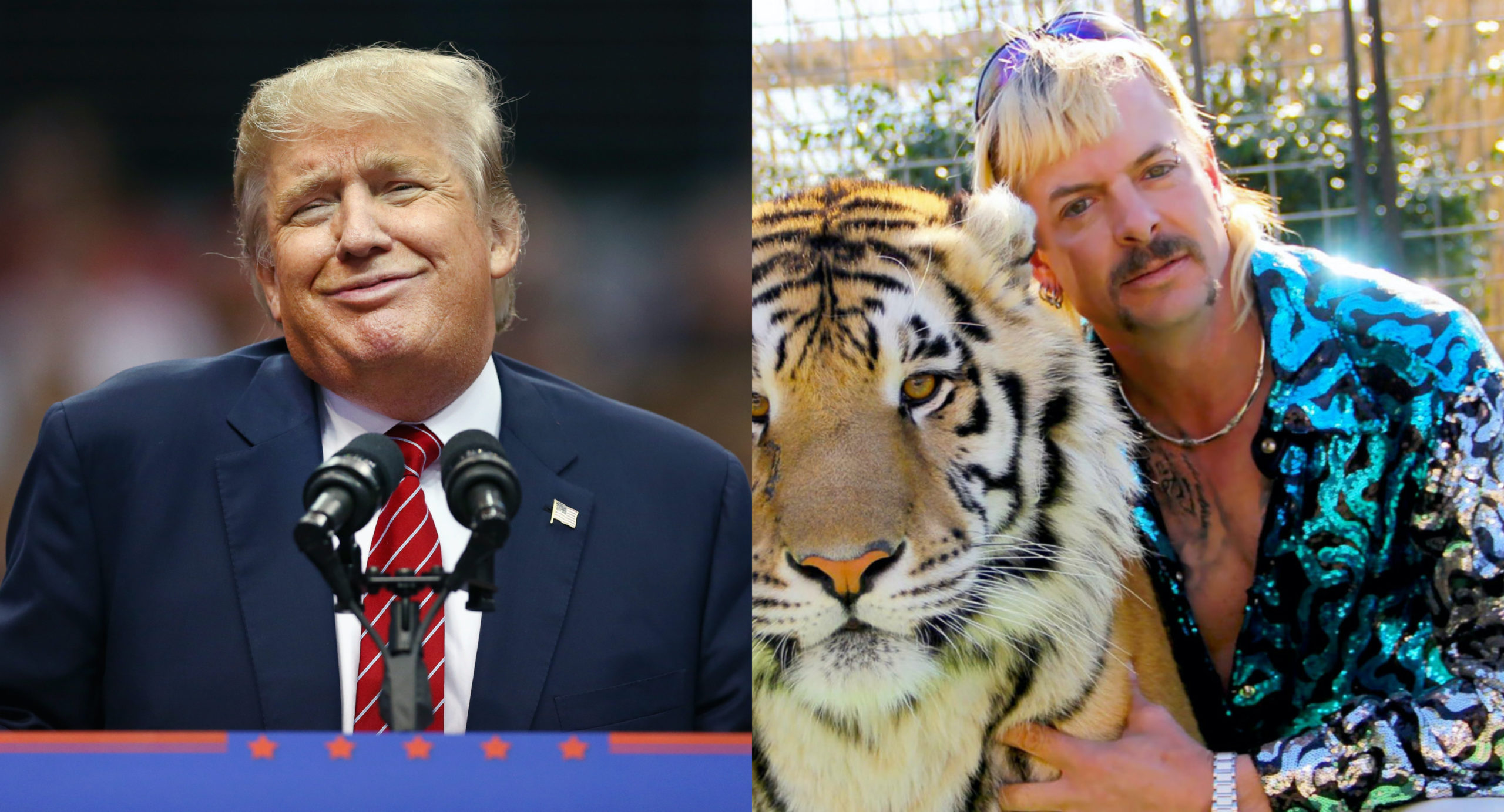 Joe Exotic so convinced of Trump pardon he's planning his homecoming