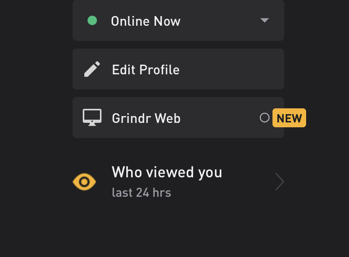 Grindr Web: How to use Grindr on a computer desktop