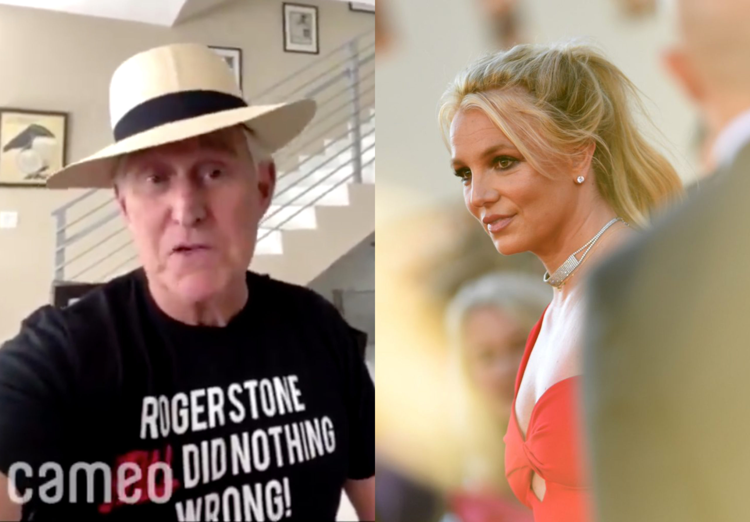 Roger Stone comes out swinging for the Free Britney Spears movement