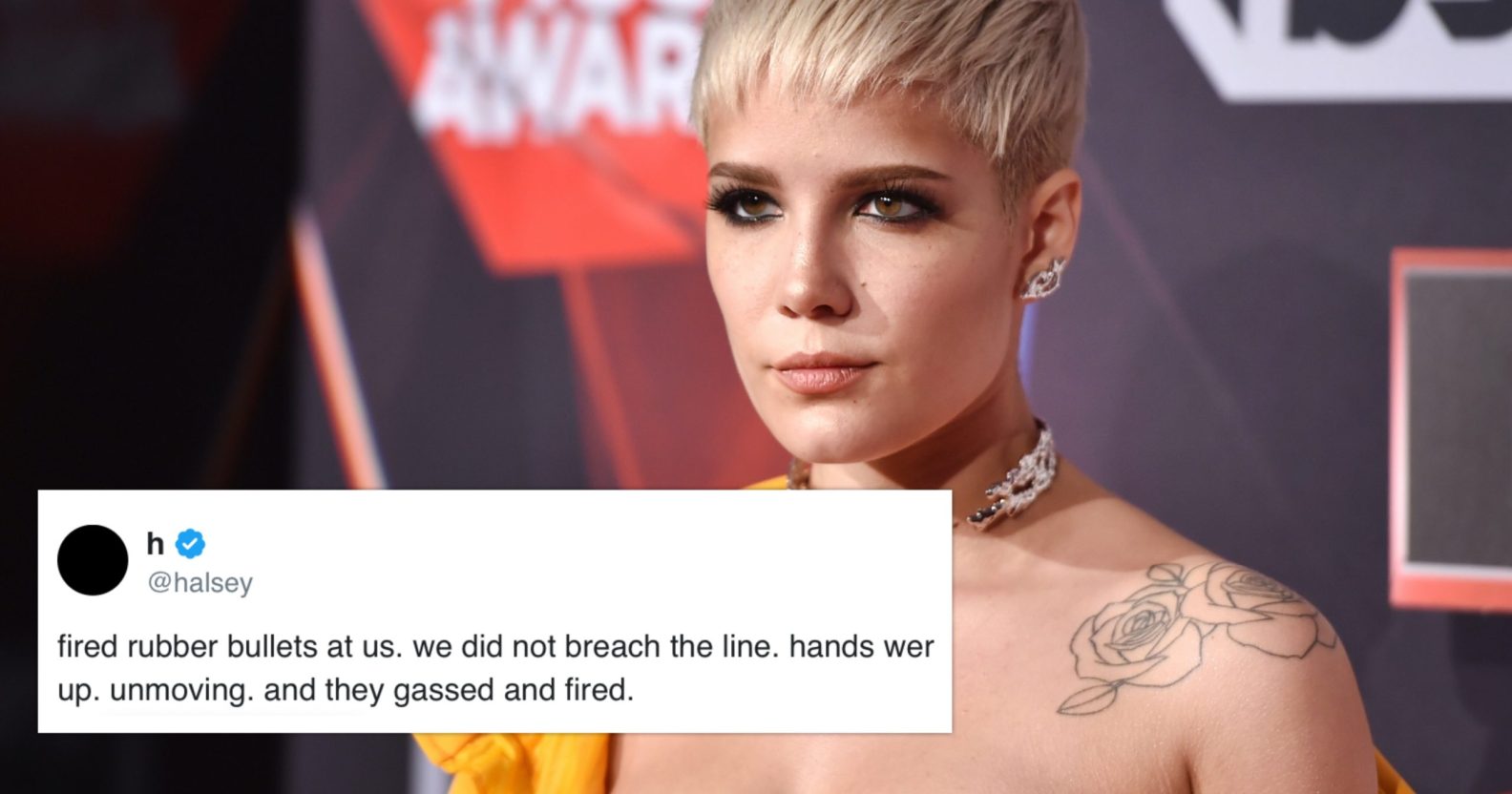 Halsey 'shot and gassed' by police as she protests death of George Floyd