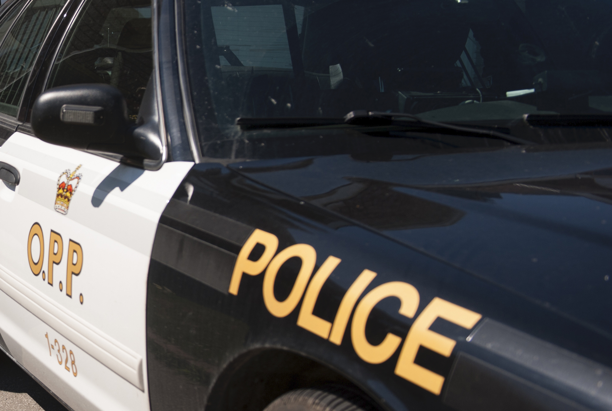 Roxanne Moore: Police shot Black transgender woman 16 times