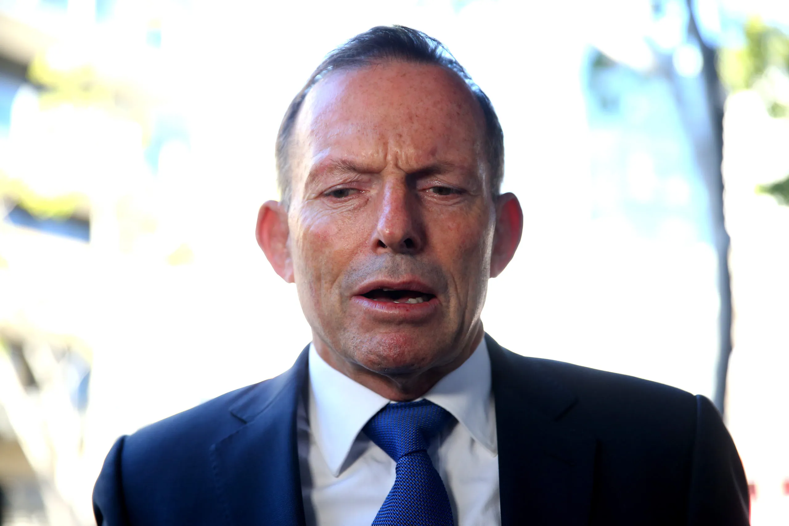 Liz Truss: Criticising Tony Abbott's homophobia is 'virtue signalling'