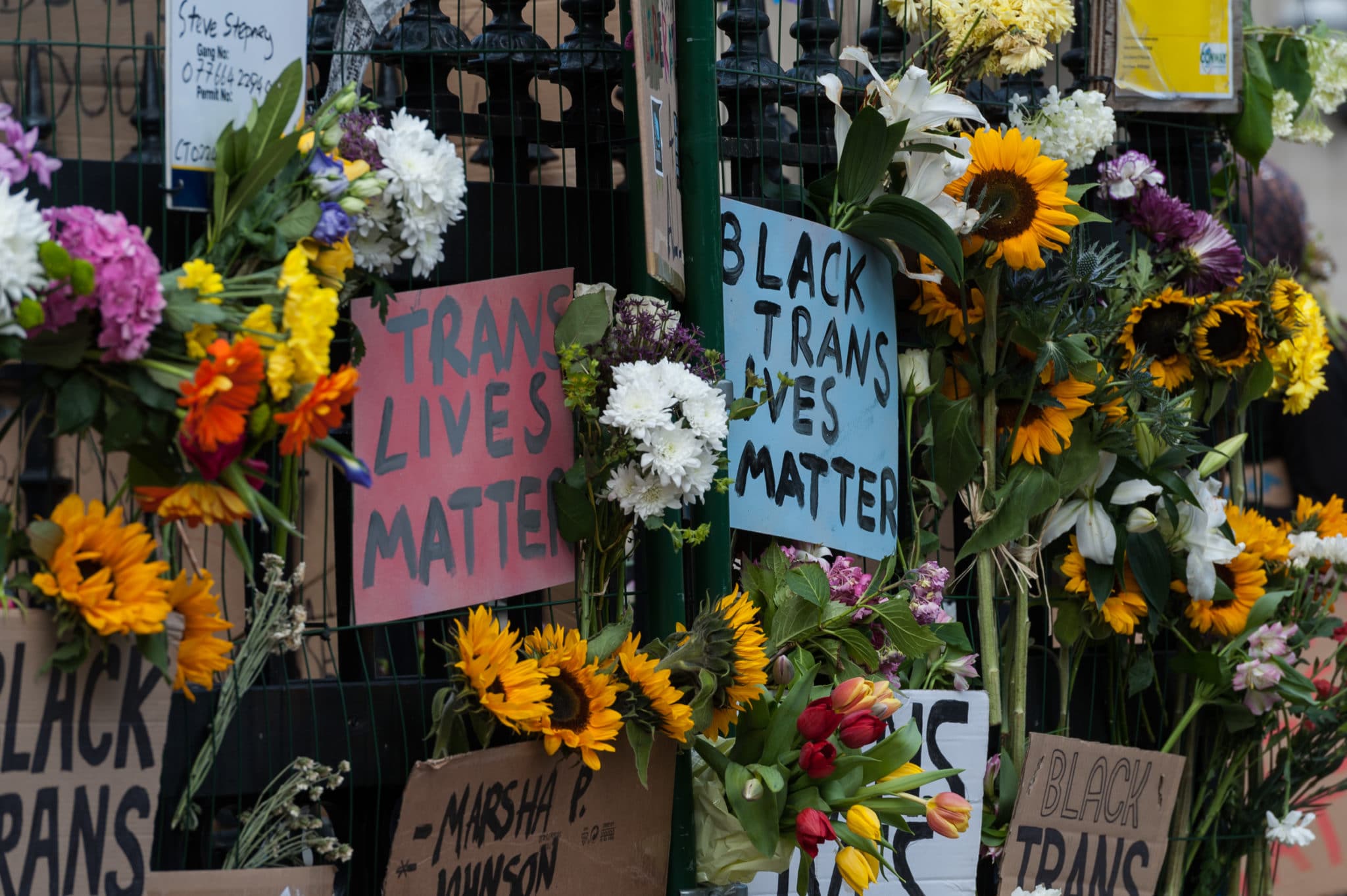 TransActual: Meet the trans trailblazers fighting to empower the community