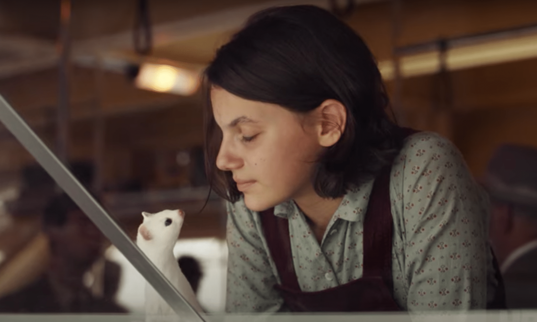 His Dark Materials: Do LGBT characters have same-gender daemons?