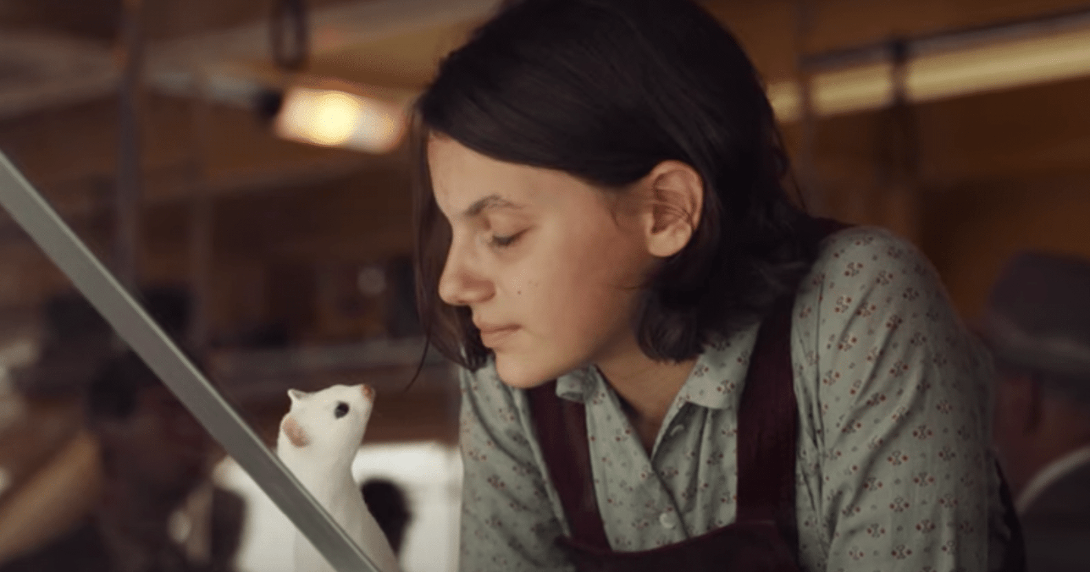 His Dark Materials: Do LGBT characters have same-gender daemons?