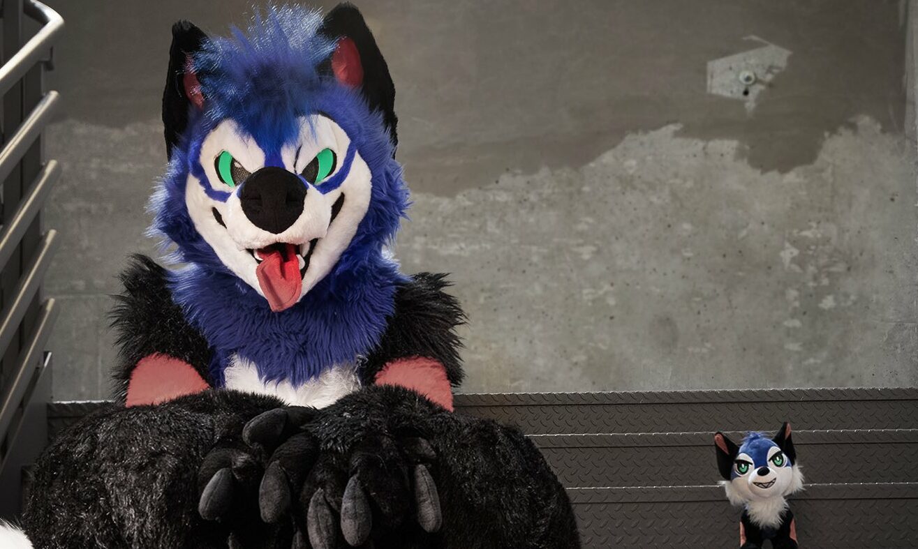 Furry gamer SonicFox comes out as non-binary, says they will 'finally ...