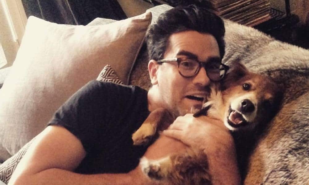 Dan Levy announces death of beloved dog