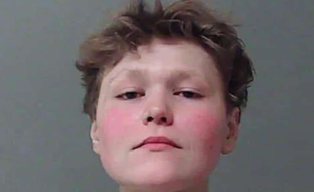 Illinois teen attempted to 'beat older gay neighbour to death with a ...