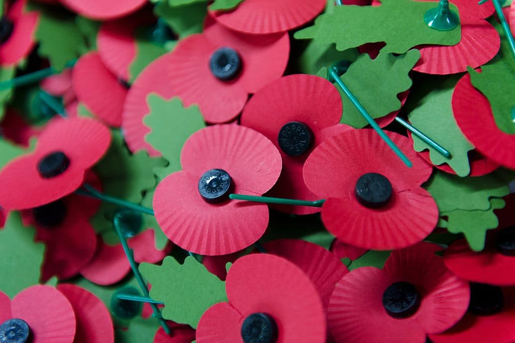 Rainbow poppy wreath laid at Cenotaph to honour LGBT servicepeople