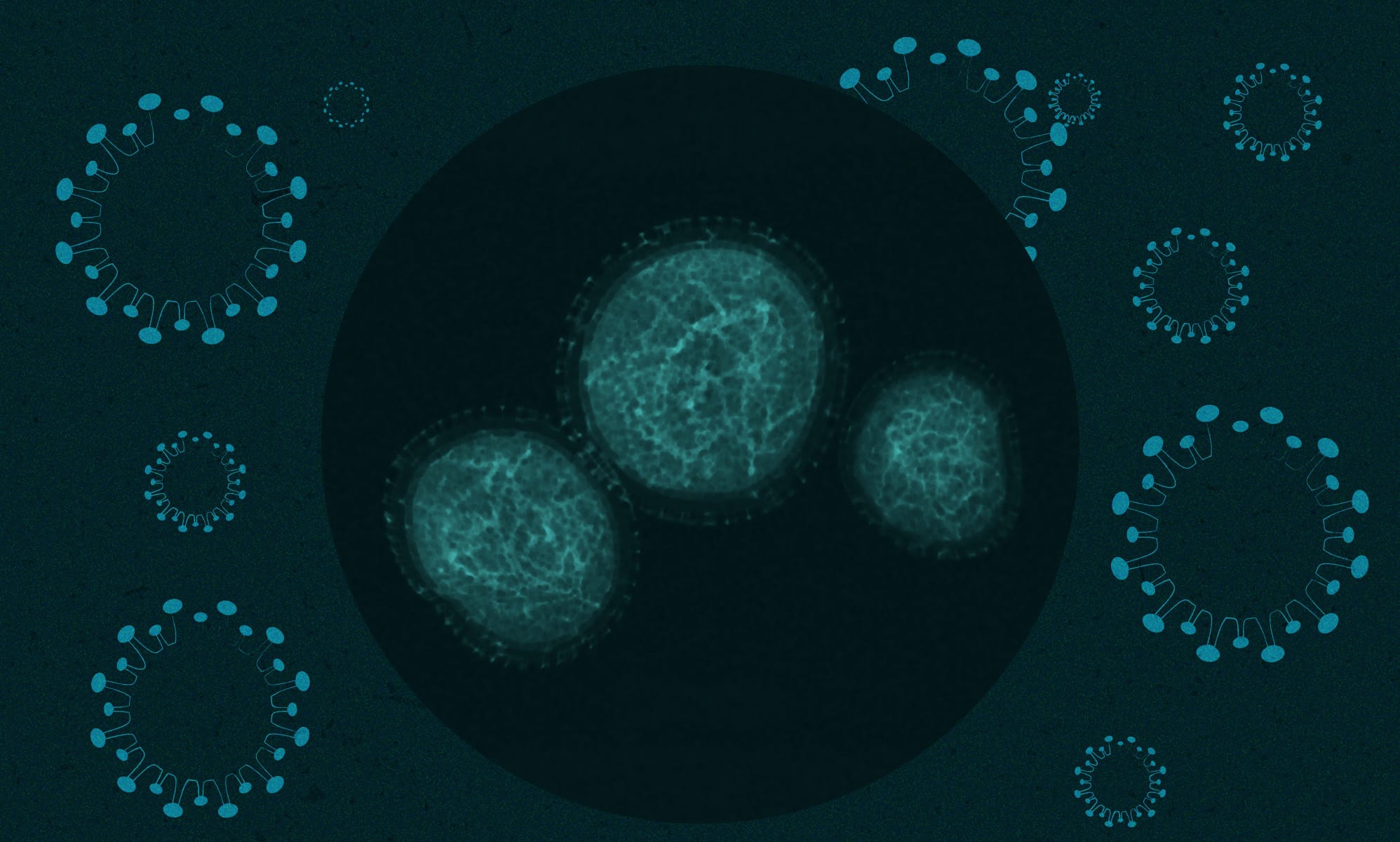 Monkeypox: Landmark study reveals extent of mutation in virus