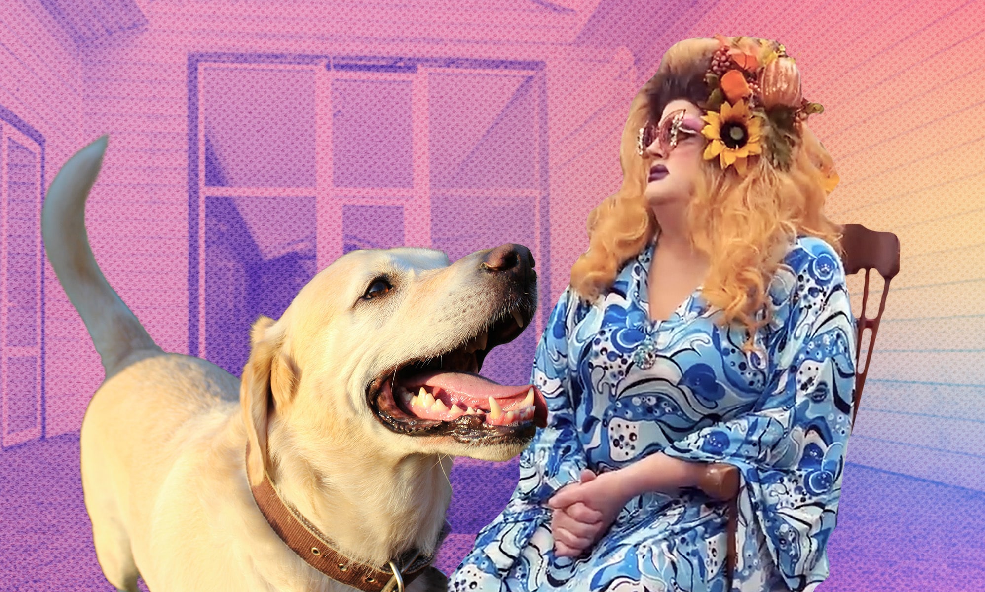 Shelter receives death threats over drag queen story time for dogs