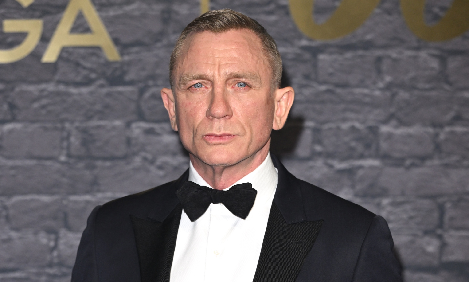 Daniel Craig to star in Queer film by Luca Guadagnino