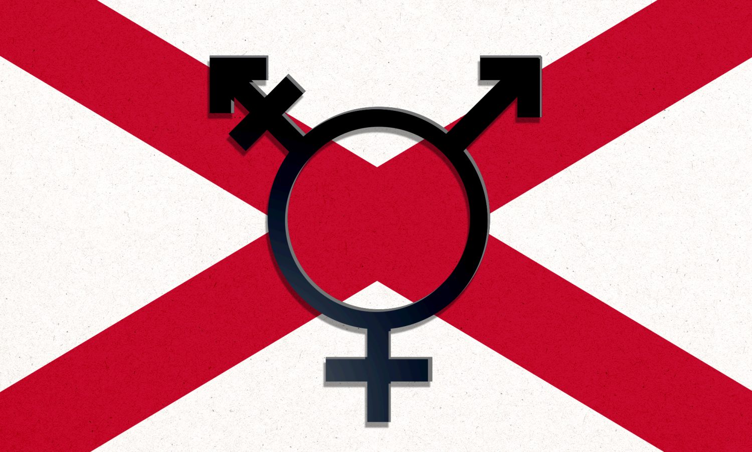 What is the trans 'spousal veto' and why does it matter?