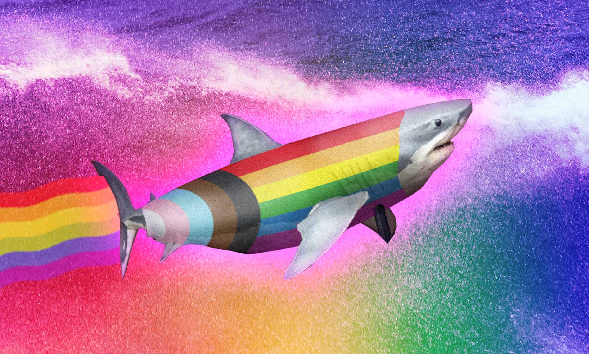 Progress Shark is the gay icon we didn't know we needed