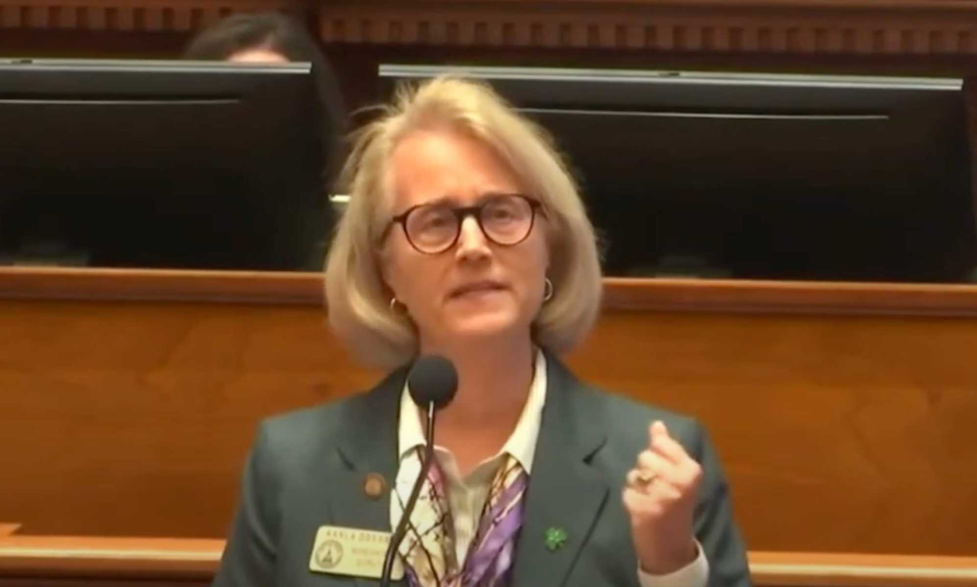 Karla Drenner: Georgia Democrat makes plea to trans youth