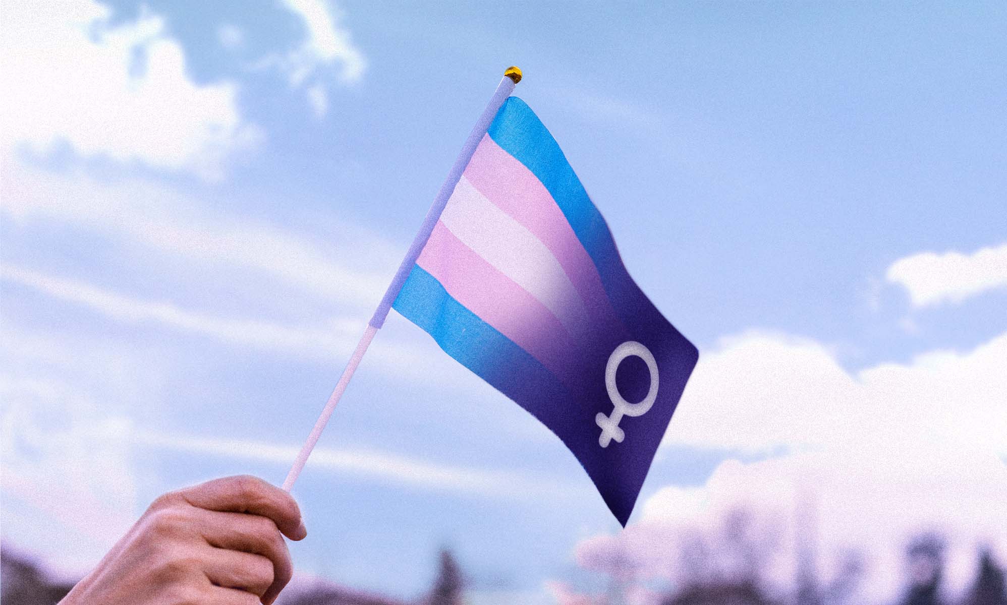 Trans rights are a feminist issue, activists explain