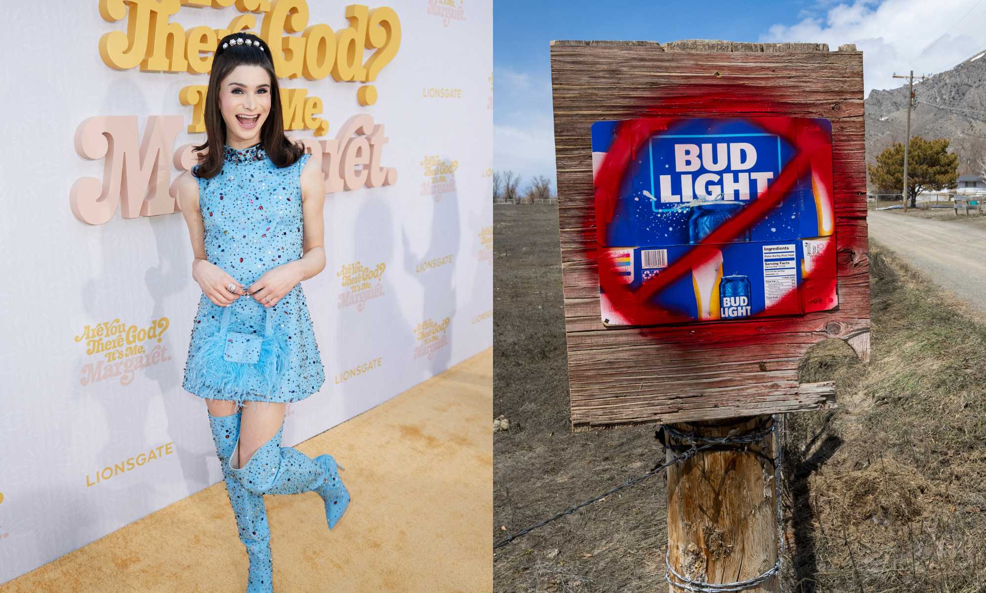 Bud Light VP steps back following Dylan Mulvaney backlash