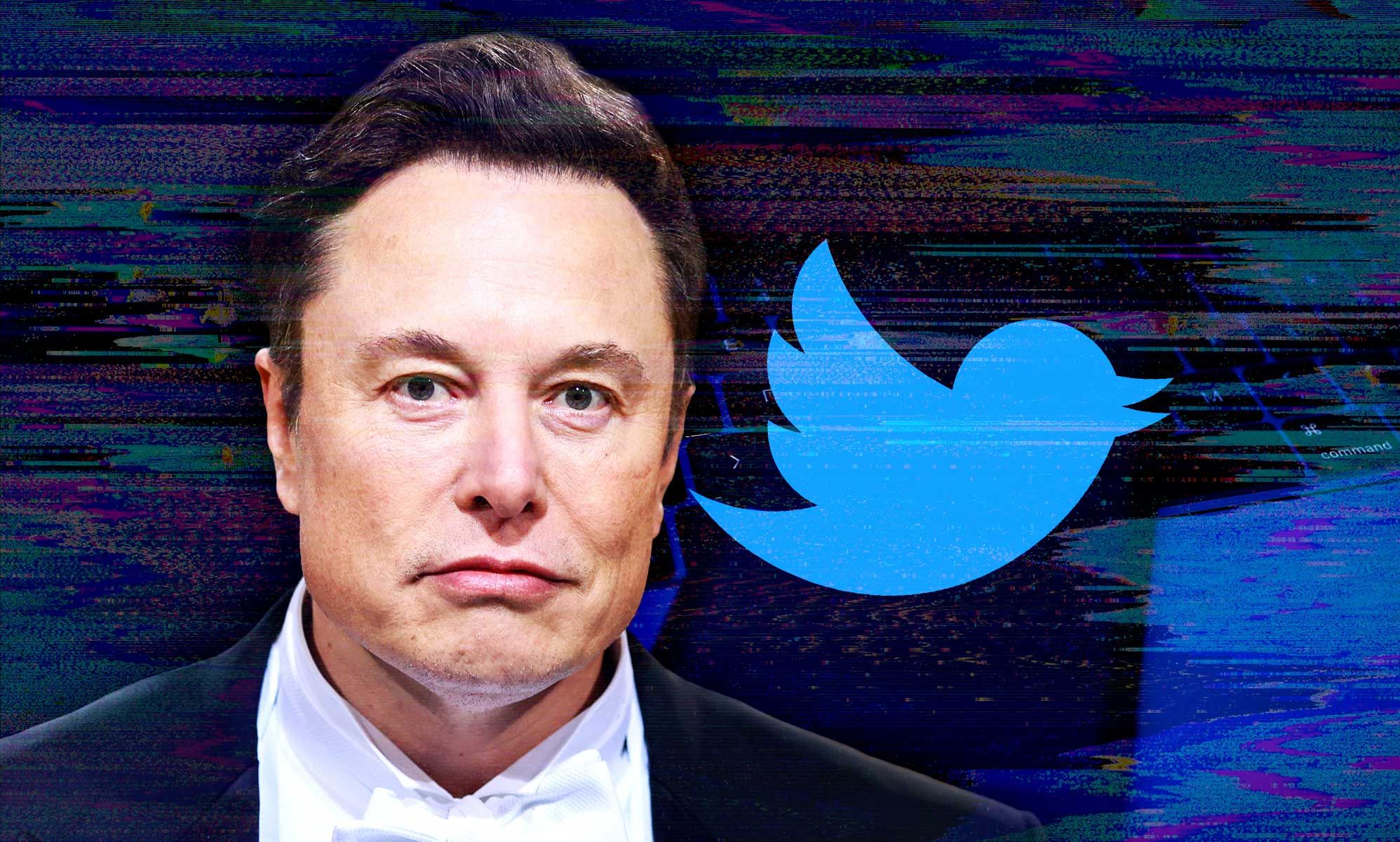 Gay man urges Elon Musk not to 'purge' inactive Twitter accounts