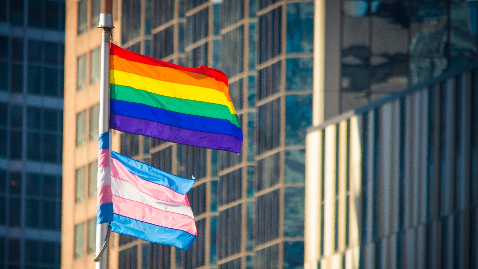 Eleanor Noyce | PinkNews