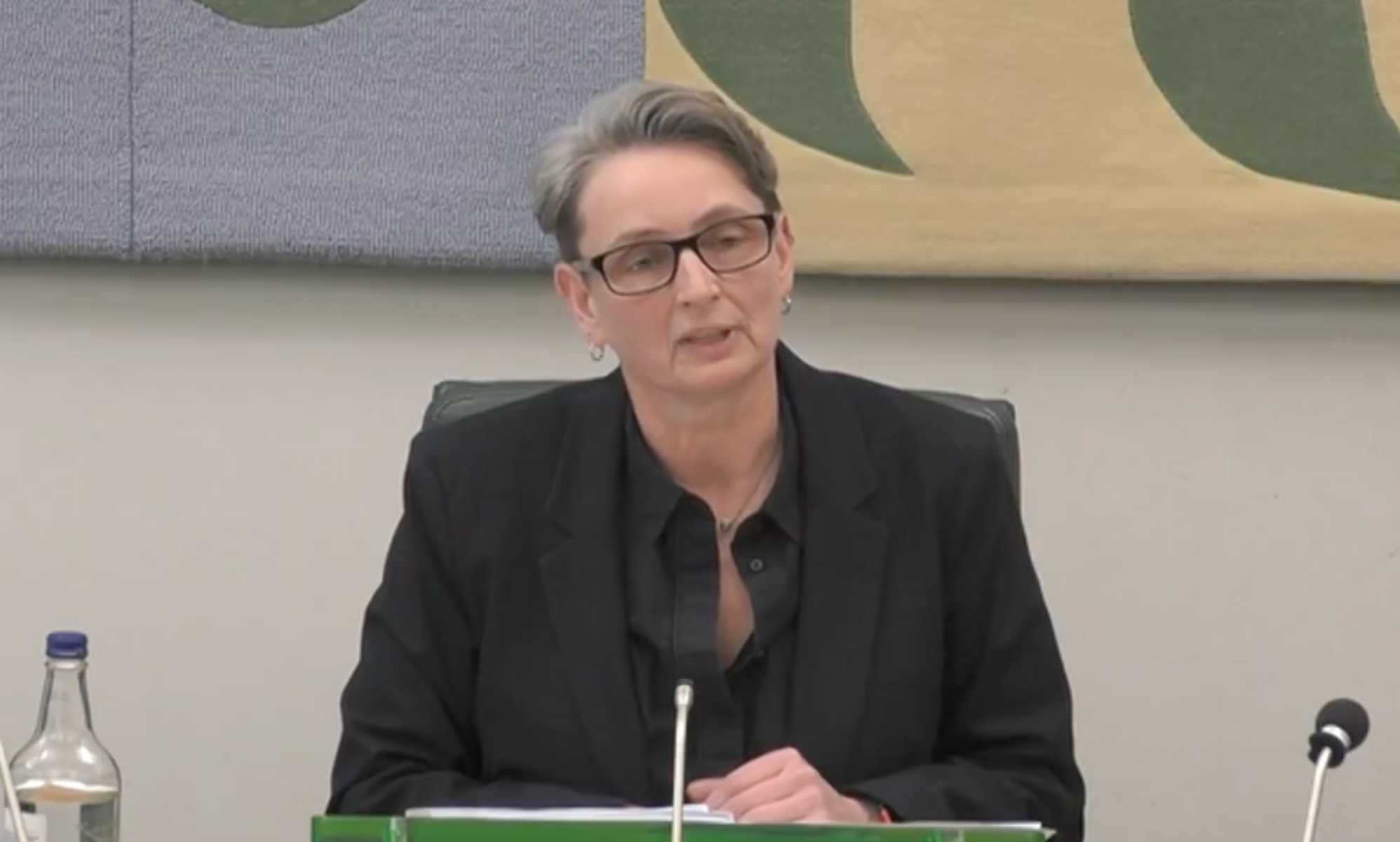 Labour MP says sex ed review used to push anti-trans agenda