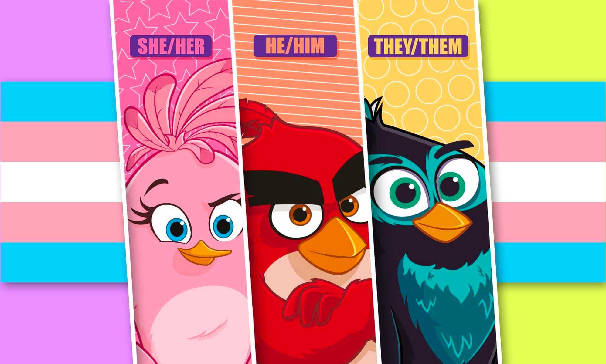 Angry Birds receives waves of support after pronoun explainer