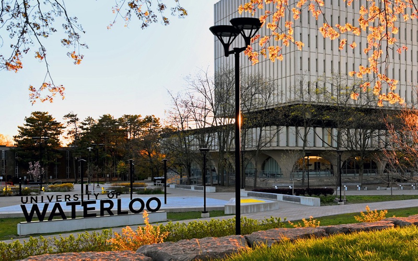 Waterloo university stabbing was 'anti-LGBTQ+ hate crime'